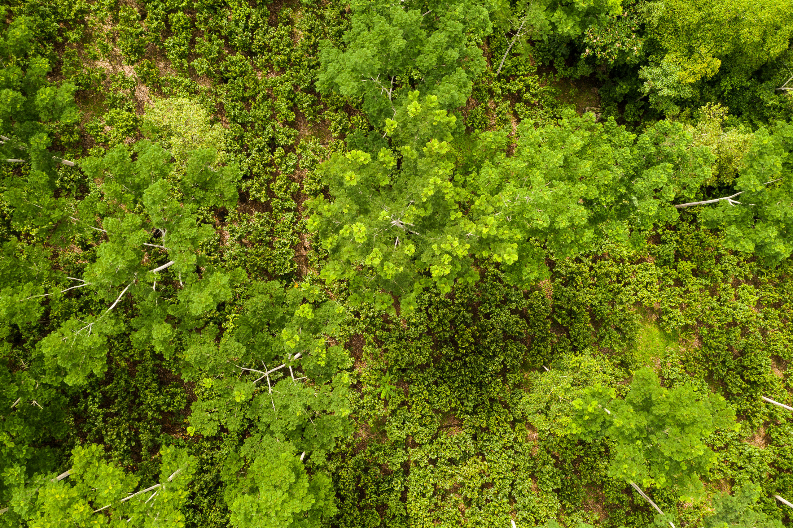 Explore | LandScale platform